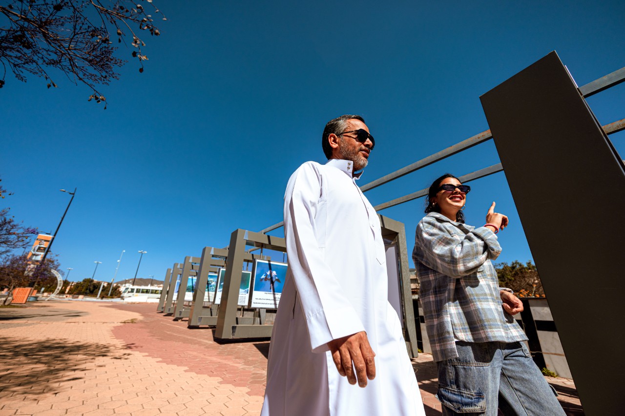 Assets Catalogue - Saudi Partner Official Website