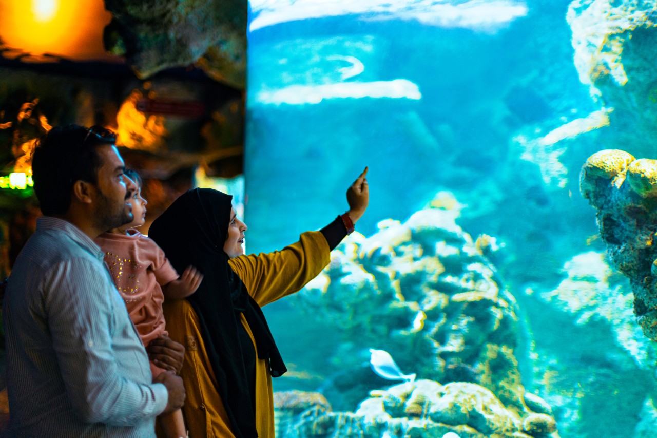 Assets Catalogue - Saudi Partner Official Website