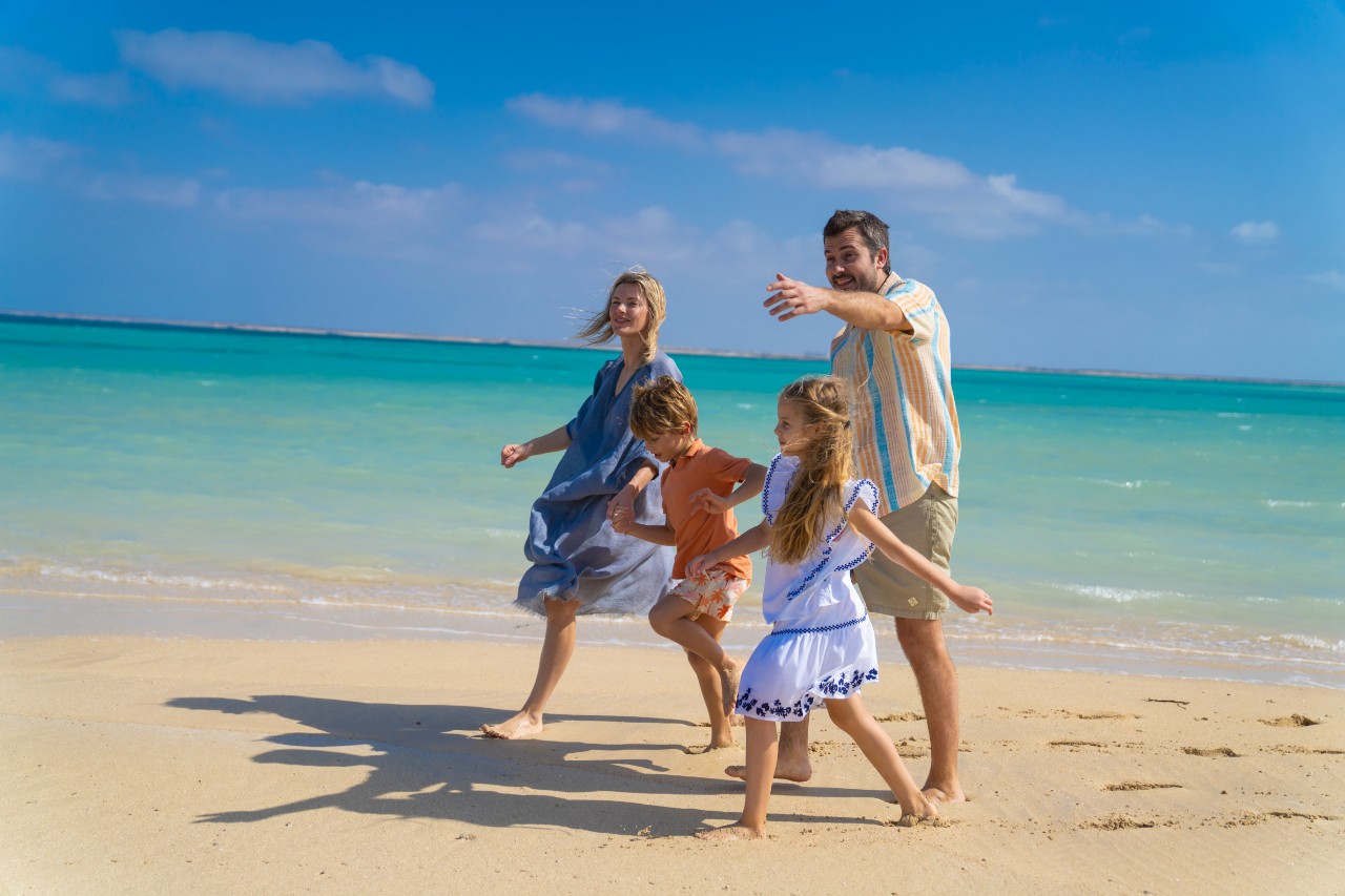 Assets Catalogue - Saudi Partner Official Website